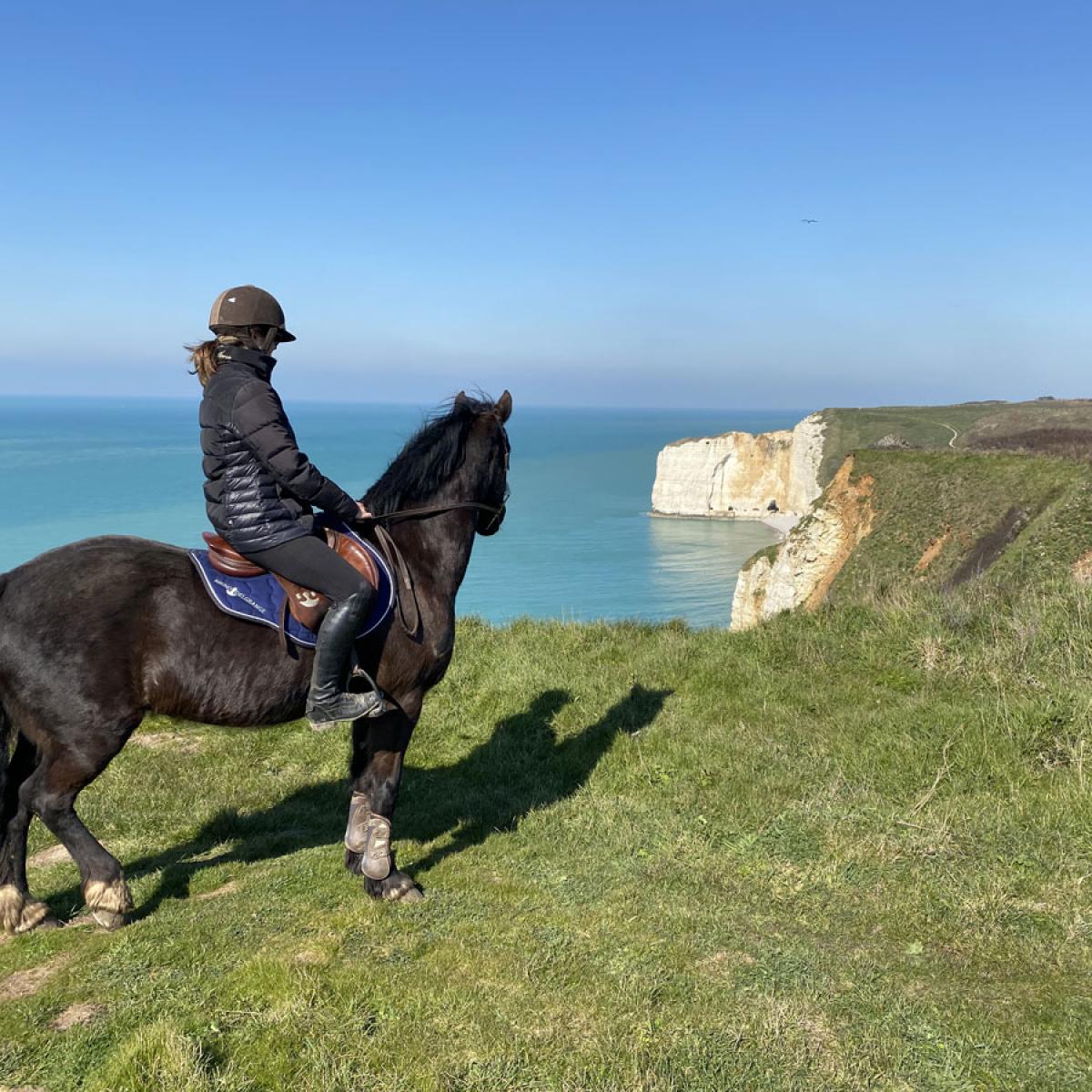 Fécamp, ville d’art et d’histoire (Fécamp) | Office de Tourisme de Fécamp