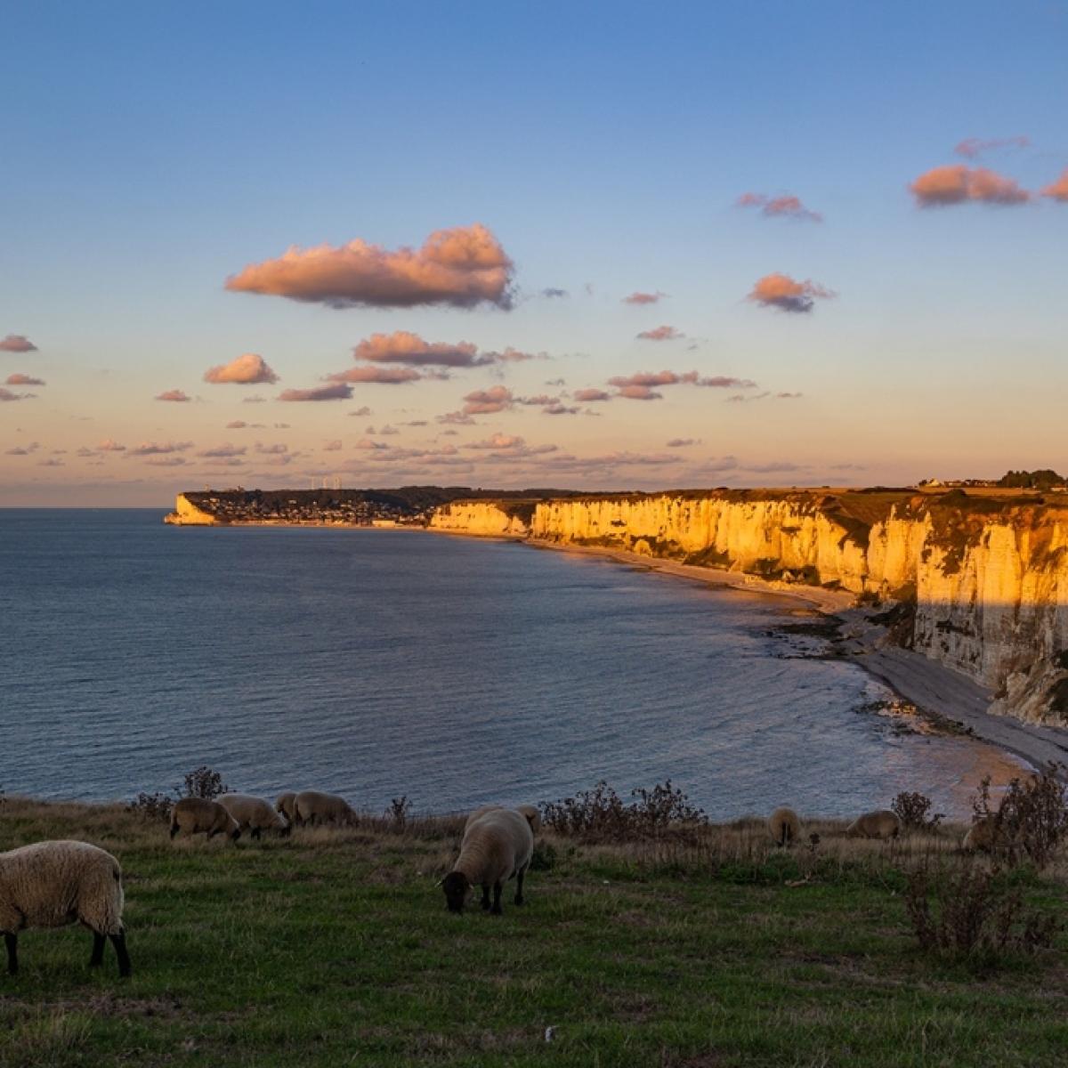 Yport, entre terre et mer | Office de Tourisme de Fécamp