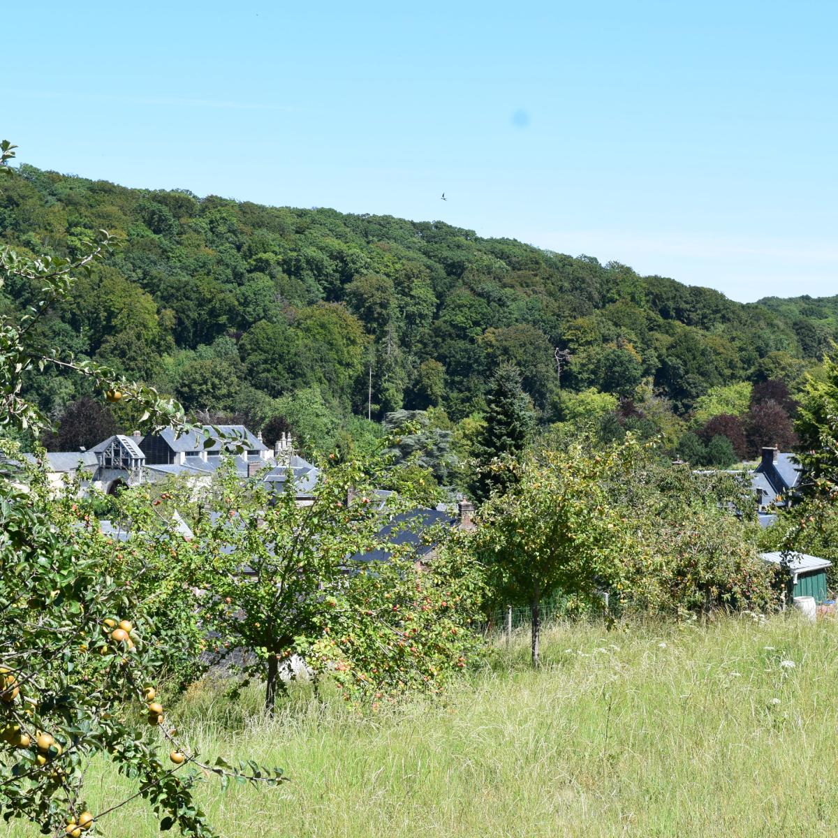 Fécamp, ville d’art et d’histoire (Fécamp) | Office de Tourisme de Fécamp