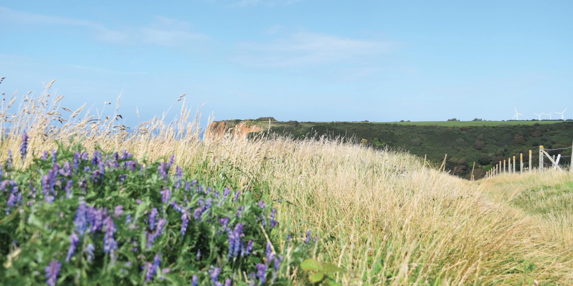 Randonnées sur le GR21 | Office de Tourisme de Fécamp